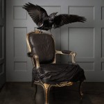 Fear of Furniture Phobia - Epiplaphobia or Furniturephobia | FEAROF