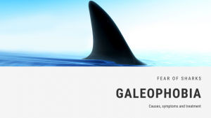 Fear of Sharks Phobia - Galeophobia or Selachophobia | FEAROF
