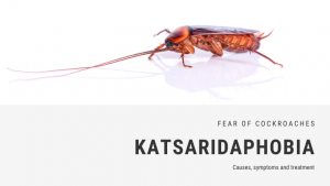 Fear of Cockroaches Phobia - Katsaridaphobia | FEAROF