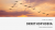 Fear of Birds Phobia - Ornithophobia